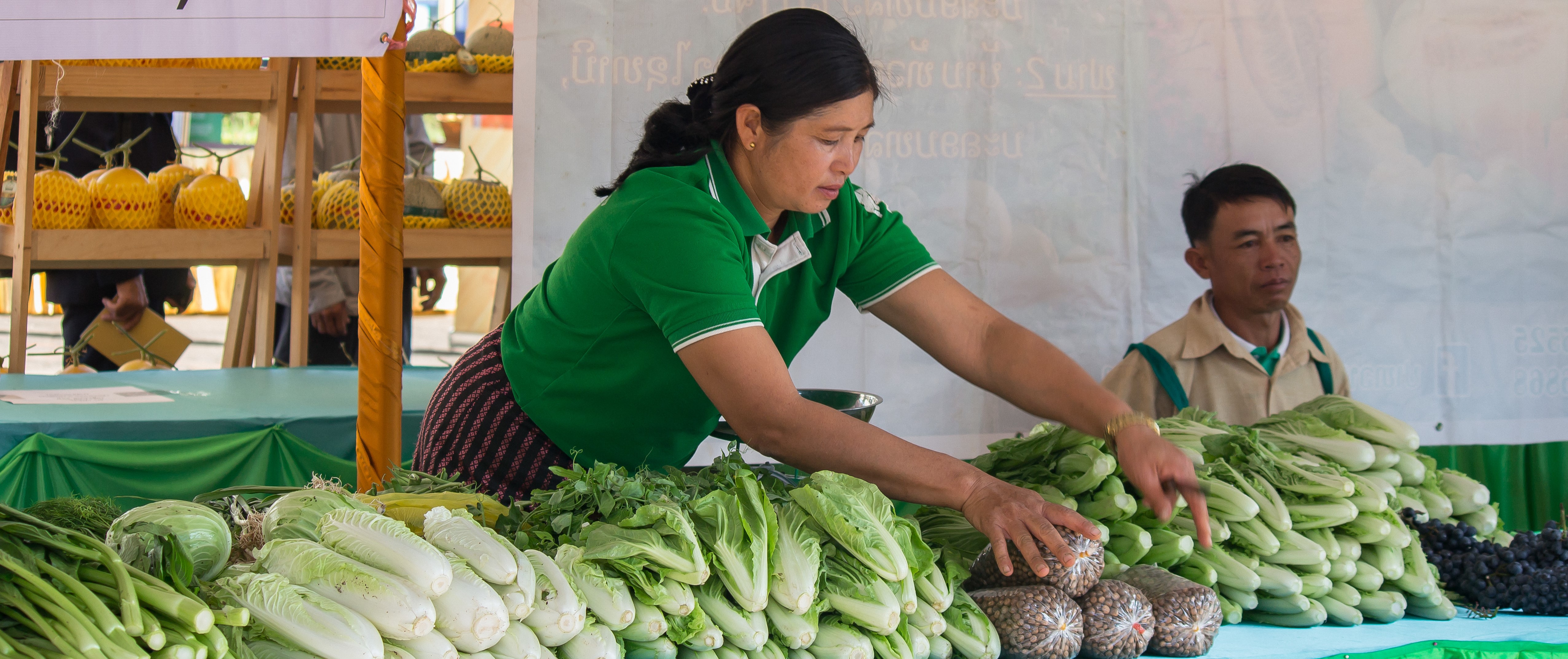 Sustainable Trade: What role for Voluntary Sustainability Standards ...